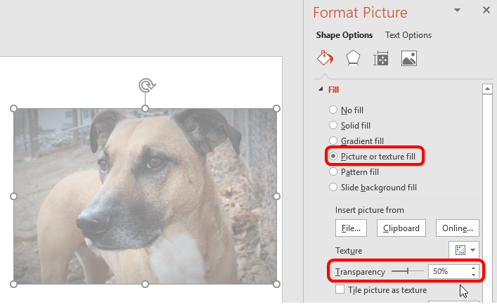 How To Make A Transparent Picture In Powerpoint PictureMeta